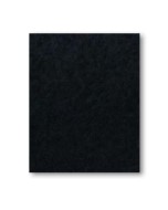 El Nuevo Fénix : fieltro