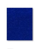 El Nuevo Fénix : fieltro